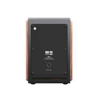 FIIO SA1 Black White FIO-SA1-B FIO-SA1-W – エミライダイレクトストア